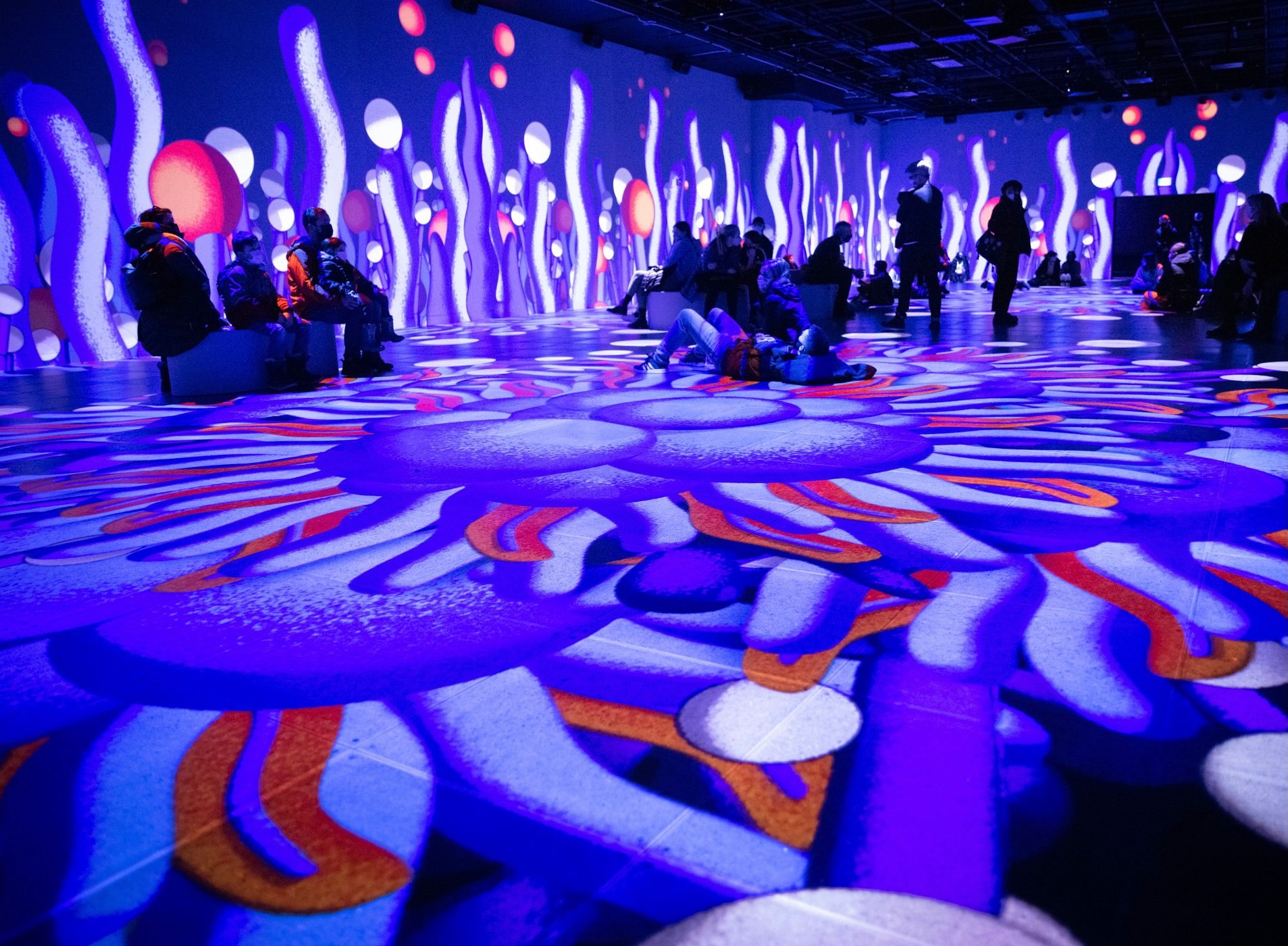 OASIS Immersion | Le Plus Grand Espace Immersif Intérieur De Montréal ...