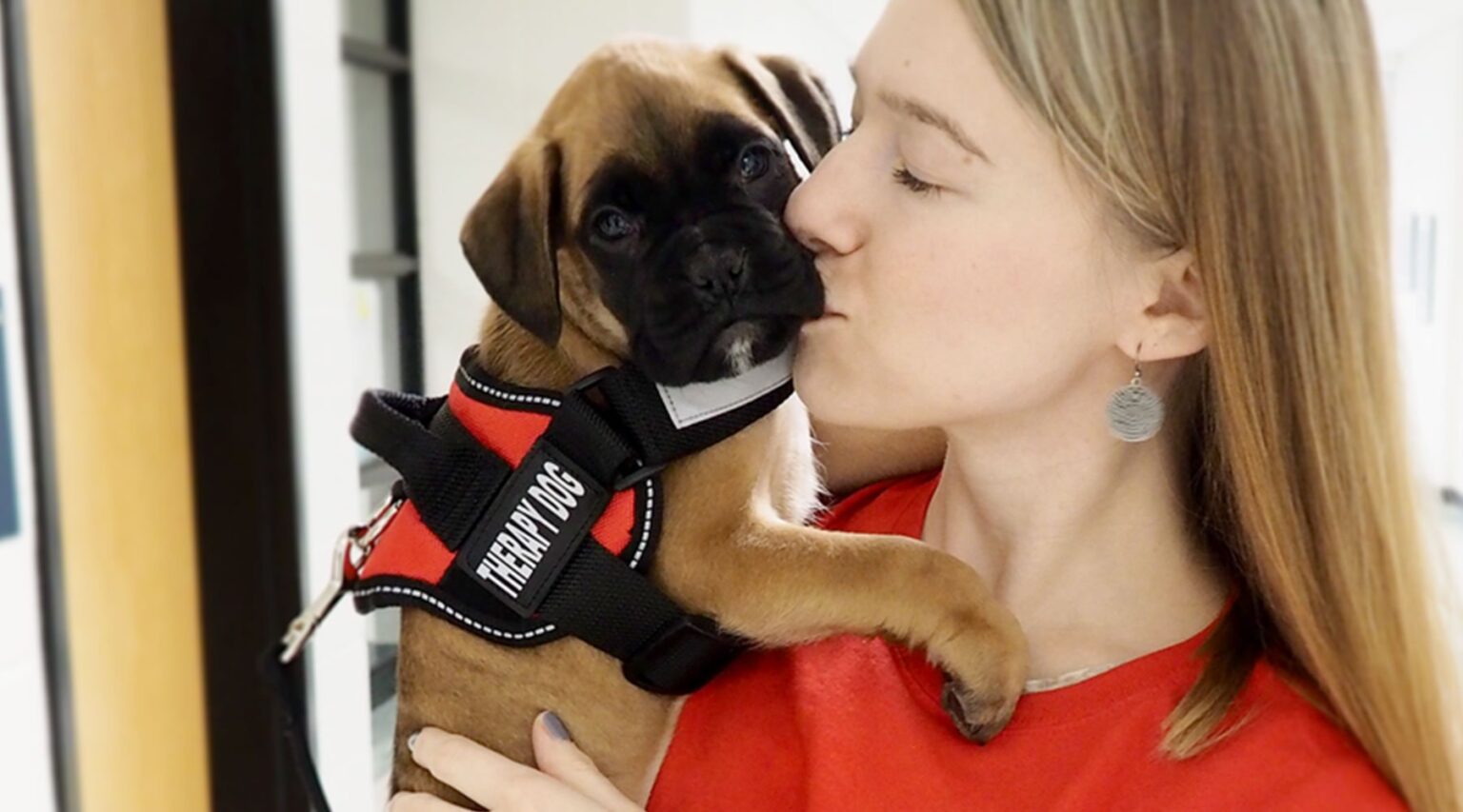 Un Chien échoué Au Mexique Célèbre Son Retour à Montréal Au Ruby Café - Best Kept MTL
